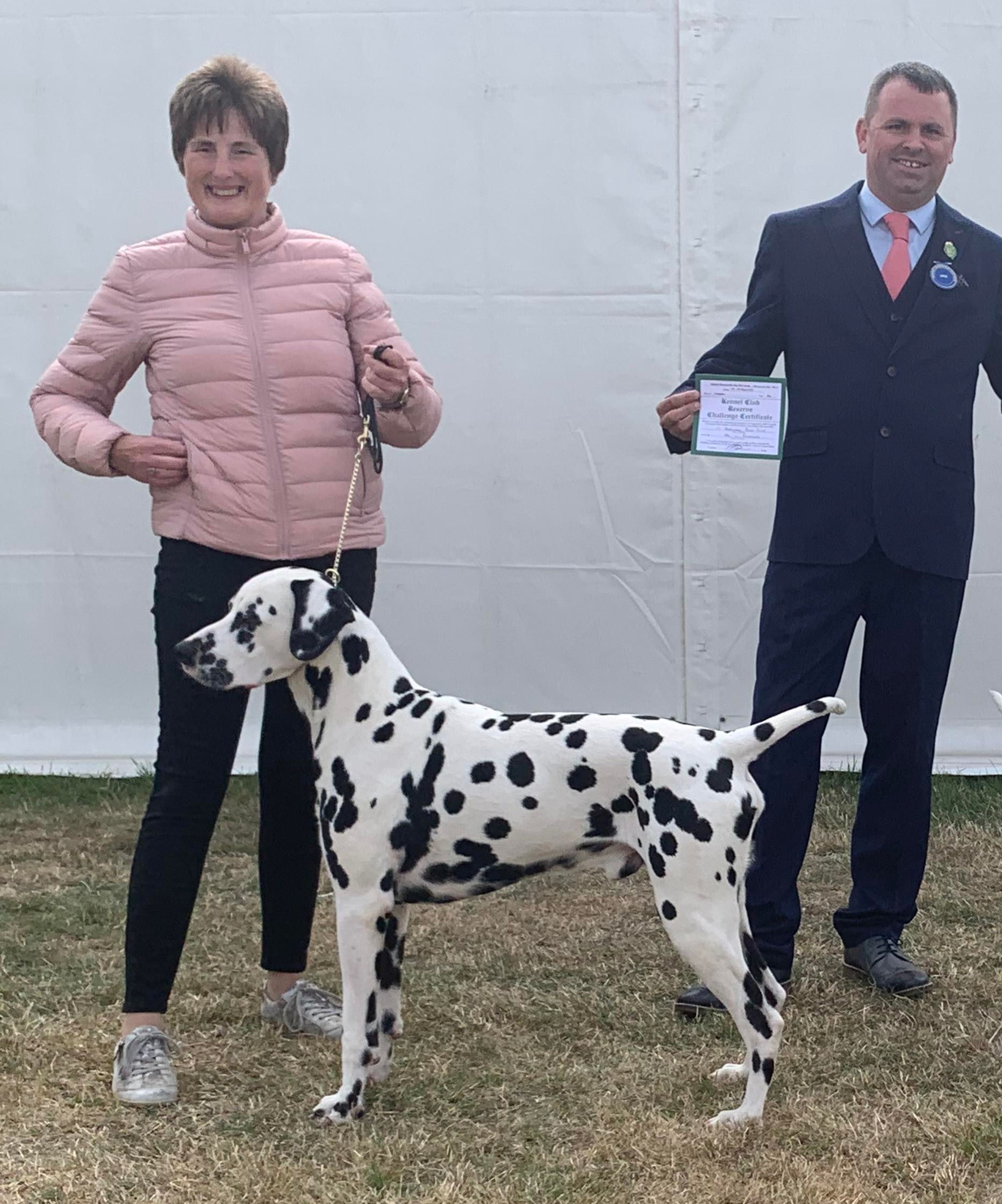 British Dalmatian Club - Driffield 2022